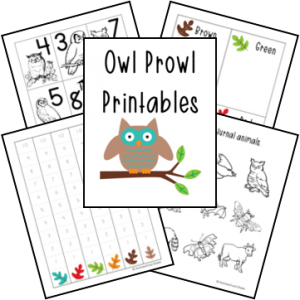 Owl Babies Unit Study & Lapbook – Homeschool Share