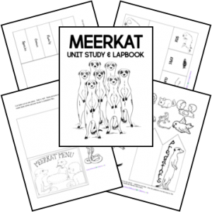 Free Meerkats Lapbook - Homeschool Share