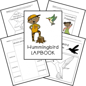 Backyard Birds Lapbook - Homeschool Share