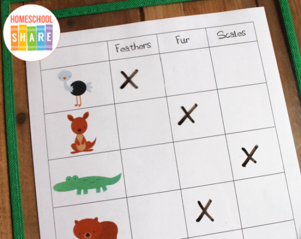 Australian Animals Printables for Preschool - Homeschool Share