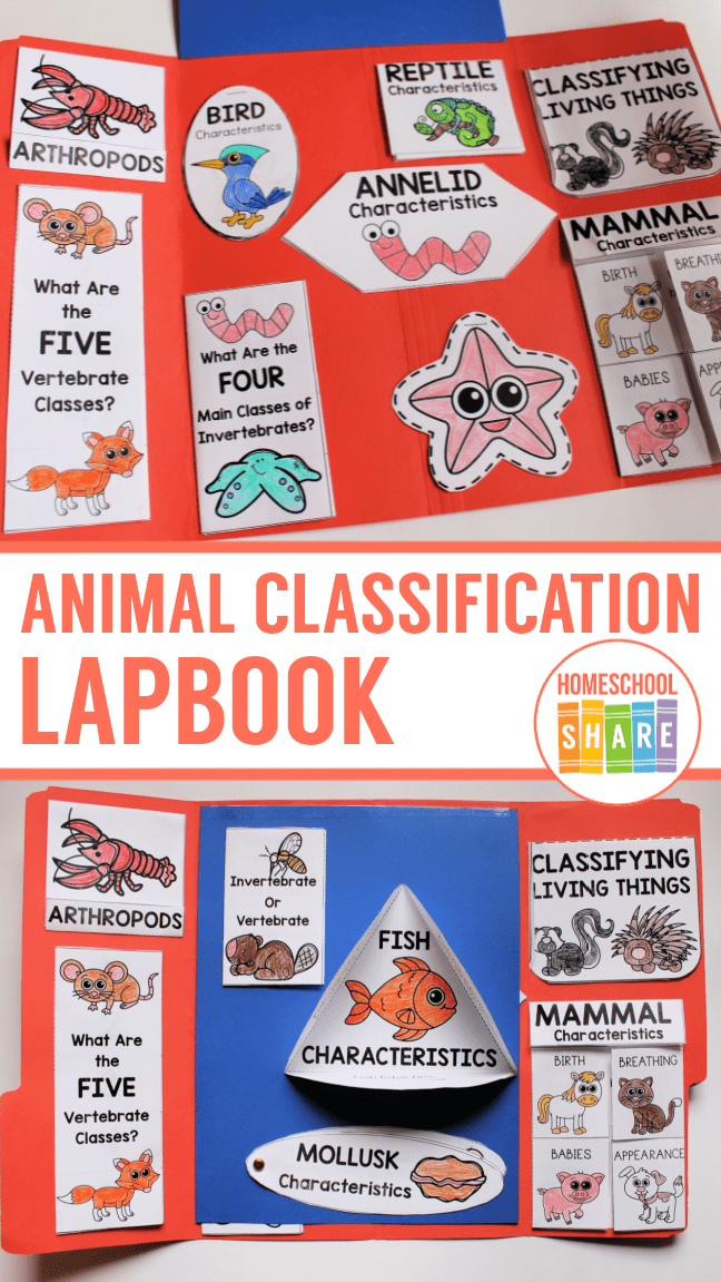 Animal Classification Lapbook - Homeschool Share