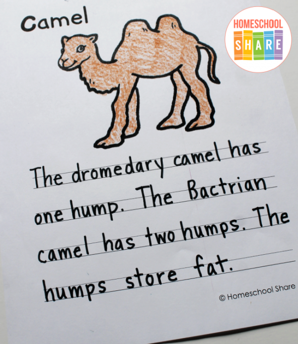 Alphabet Animal Report Forms - Homeschool Share
