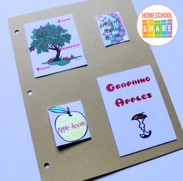 The Apple and the Arrow Unit Study & Lapbook - Homeschool Share
