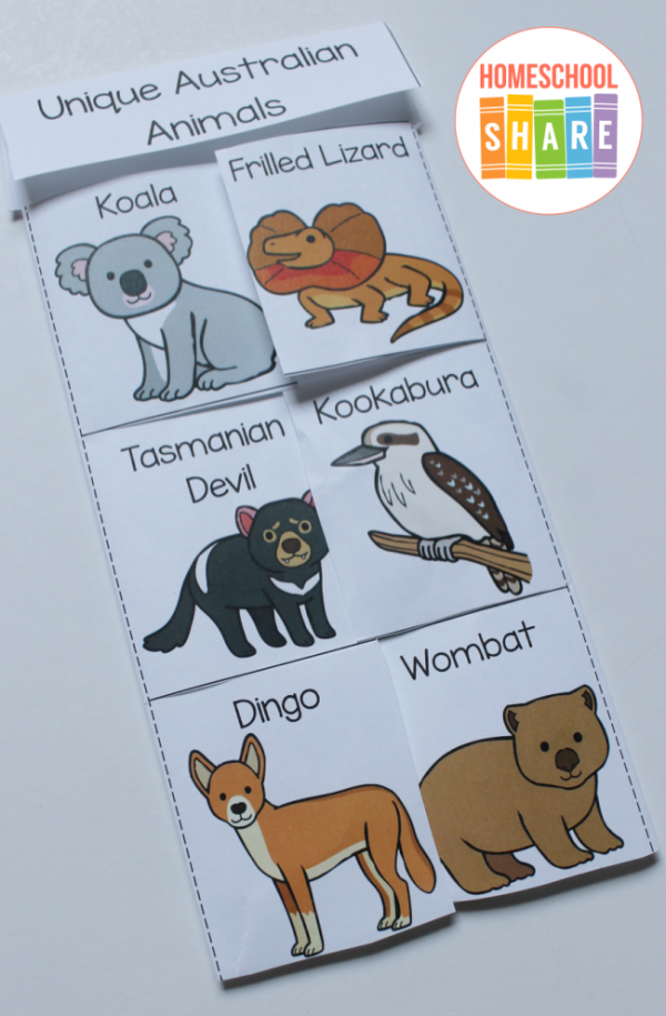 Platypus Lapbook - Homeschool Share