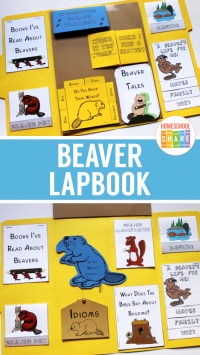 Beavers Lapbook - Homeschool Share