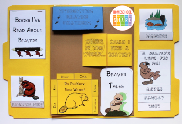 Beavers Lapbook - Homeschool Share