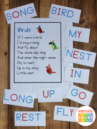 Free Bird Printables for Preschool and Kindergarten - Homeschool Share