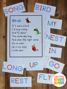 Free Bird Printables for Preschool and Kindergarten - Homeschool Share