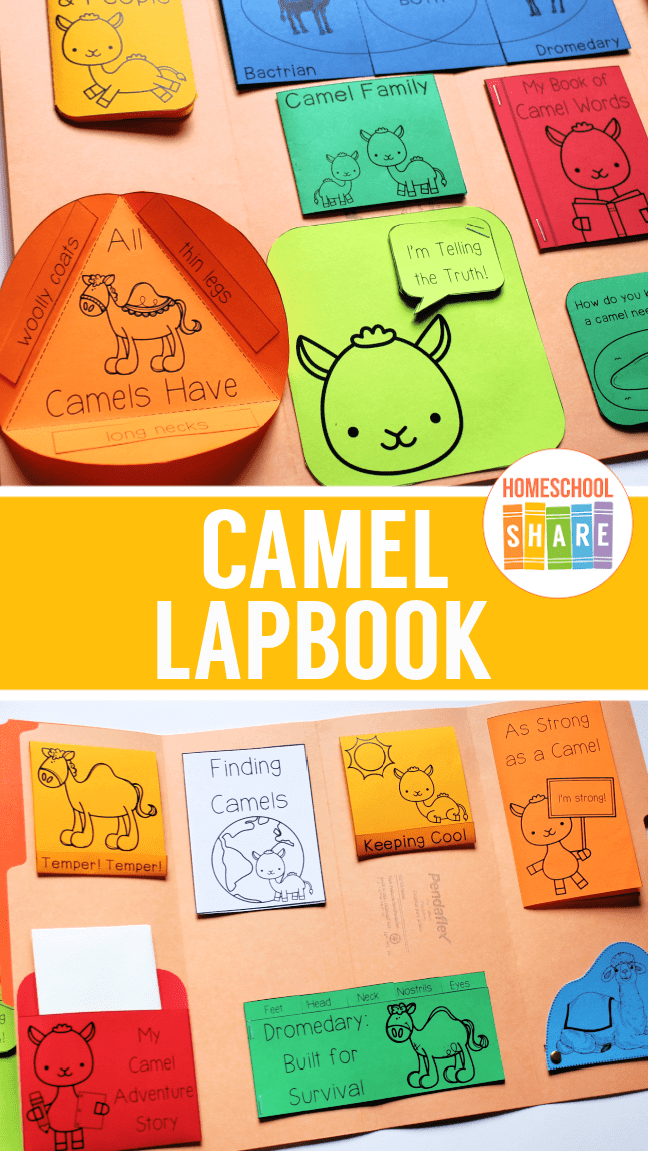 Camels Lapbook - Homeschool Share