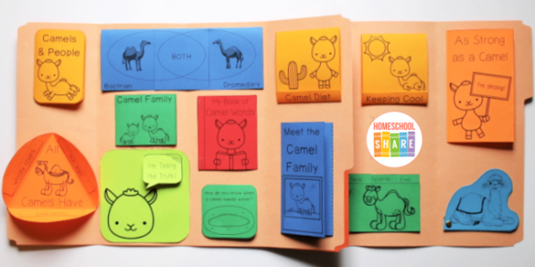 Camels Lapbook - Homeschool Share