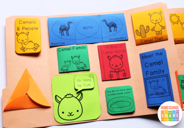 Camels Lapbook - Homeschool Share
