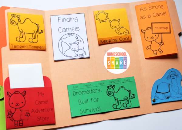 Camels Lapbook - Homeschool Share