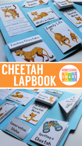 Cheetah Lapbook - Homeschool Share