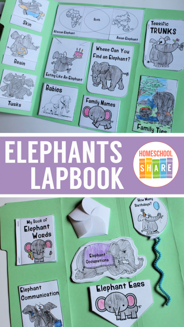 Elephants Lapbook - Homeschool Share