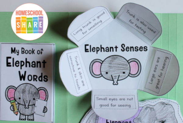 Elephants Lapbook - Homeschool Share