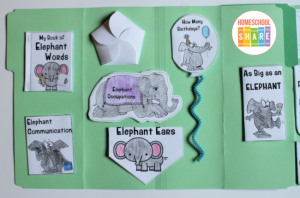 Elephants Lapbook - Homeschool Share