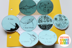 Fishing Lapbook - Homeschool Share