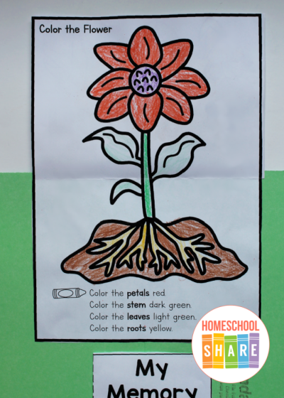 The Parable of the Lily Unit Study & Lapbook - Homeschool Share