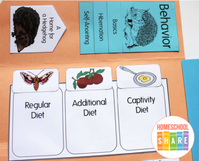 Hedgehogs Lapbook - Homeschool Share