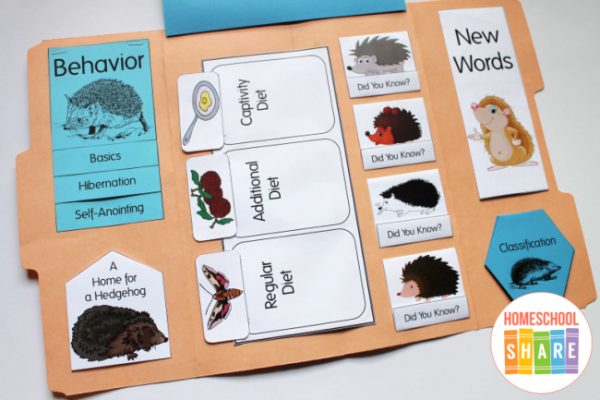 Hedgehogs Lapbook - Homeschool Share