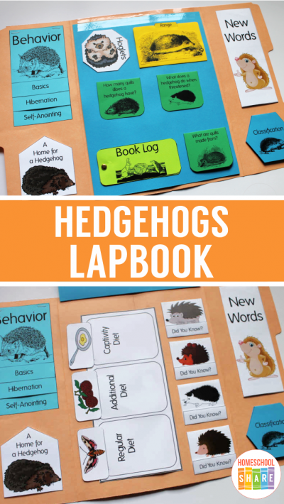 Hedgehogs Lapbook - Homeschool Share