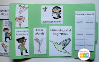 Hummingbirds Lapbook - Homeschool Share
