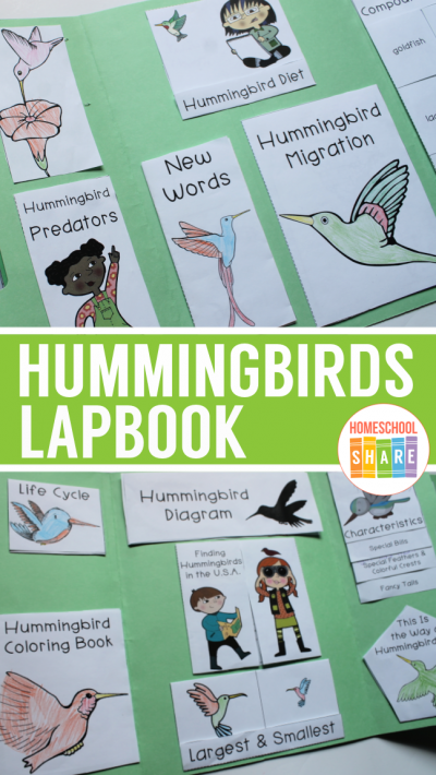 Hummingbirds Lapbook - Homeschool Share