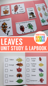 Leaves Unit Study & Lapbook - Homeschool Share