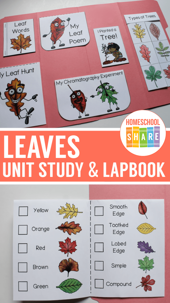 Leaves Unit Study & Lapbook - Homeschool Share