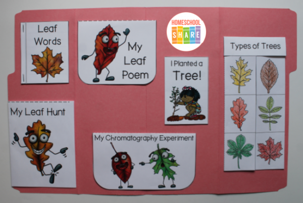Leaves Unit Study & Lapbook - Homeschool Share