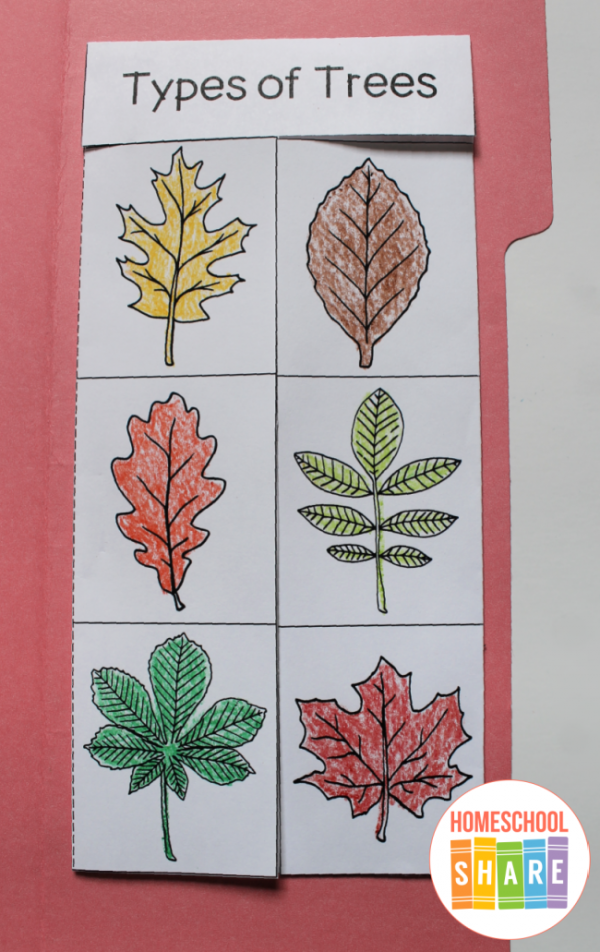 Leaves Unit Study & Lapbook - Homeschool Share