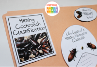 Hissing Cockroach Lapbook - Homeschool Share