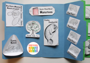 Manatee Lapbook - Homeschool Share