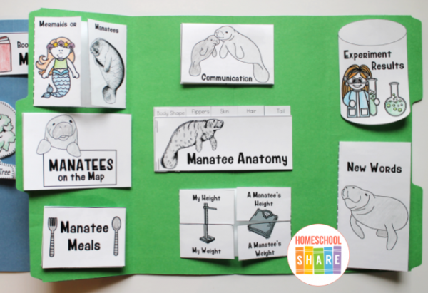 Manatee Lapbook - Homeschool Share