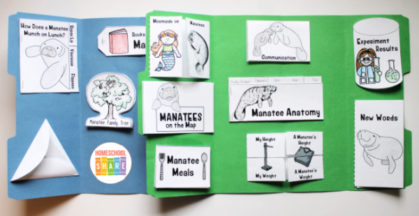 Manatee Lapbook - Homeschool Share