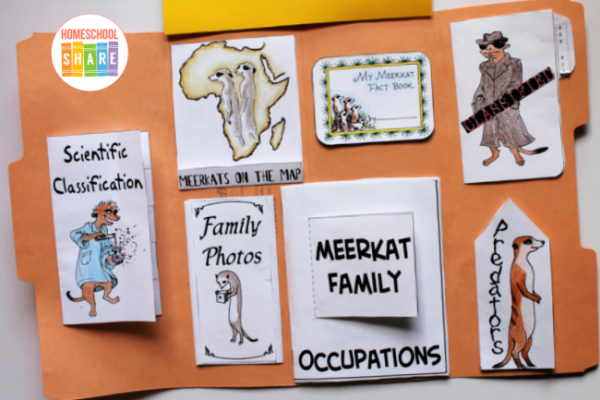 Free Meerkats Lapbook - Homeschool Share