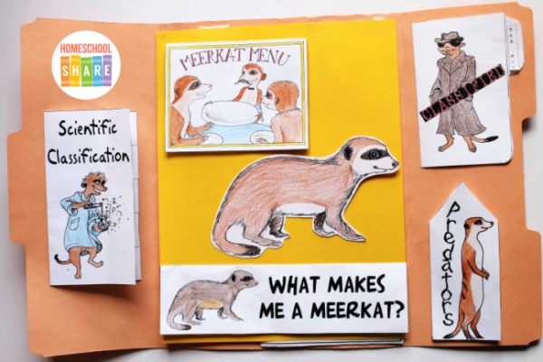 Free Meerkats Lapbook - Homeschool Share