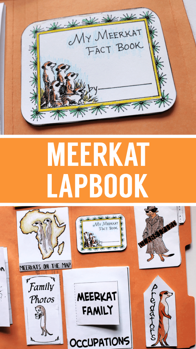 Free Meerkats Lapbook - Homeschool Share