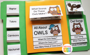 Free Owl Babies Activities for Preschool - Homeschool Share