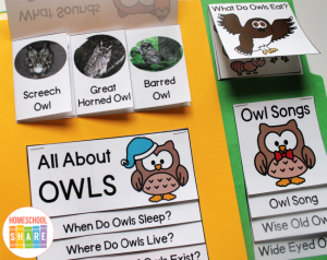 Free Owl Babies Activities for Preschool - Homeschool Share