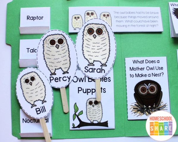 Free Owl Babies Activities for Preschool - Homeschool Share