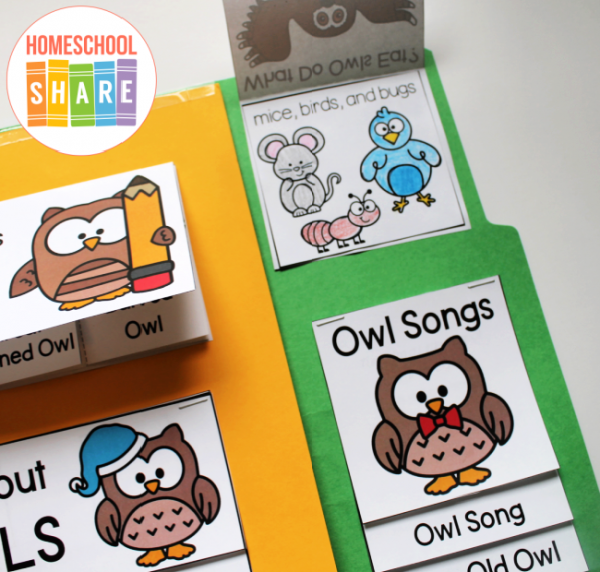 Free Owl Babies Activities for Preschool - Homeschool Share
