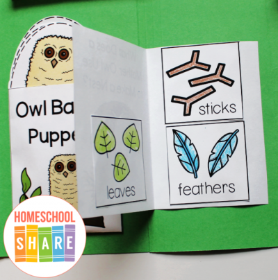 Free Owl Babies Activities for Preschool - Homeschool Share