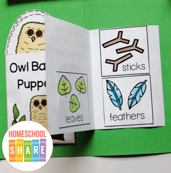 Free Owl Babies Activities for Preschool - Homeschool Share