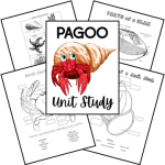 Arthropods Unit Study - Homeschool Share