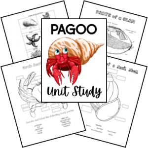 Arthropods Unit Study - Homeschool Share
