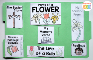 The Parable of the Lily Unit Study & Lapbook - Homeschool Share