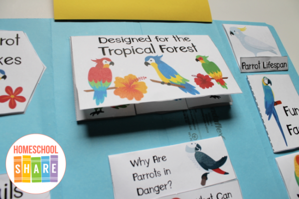 Parrots Lapbook - Homeschool Share