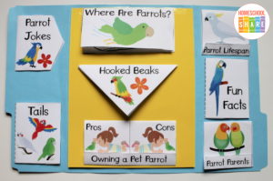 Animal Lapbooks - Homeschool Share
