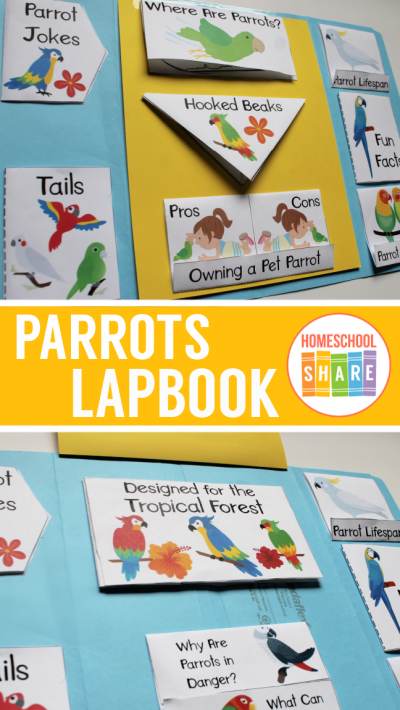 Parrots Lapbook - Homeschool Share